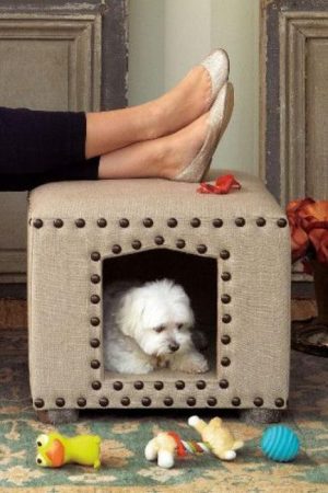 20 Modern Pet House Design Ideas for Cats and Dogs