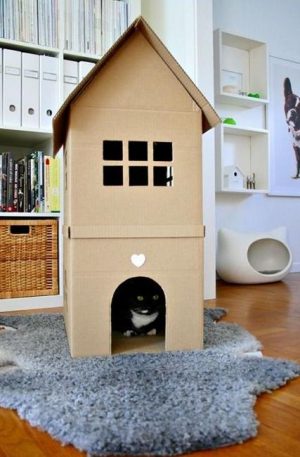 20 Modern Pet House Design Ideas for Cats and Dogs