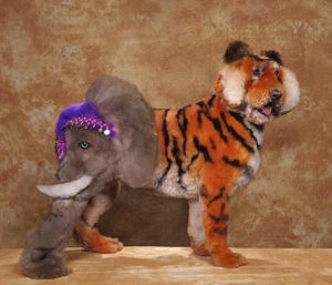 10 Fantastic Pets Grooming Designs, the Amazing Art of Fur Decorating