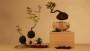 Stunning Table Centerpiece Ideas, Floating in the Air Bonsai Trees