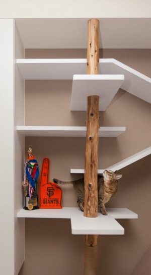 Wall Shelves, Pet Furniture Design Idea to Please Cats