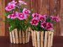 30 Art and Craft Ideas to Use Wooden Clothespins for Home Decorating