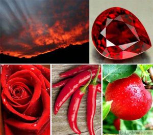 Nature Inspired Red Color Schemes Adding Bright Accents to Modern ...