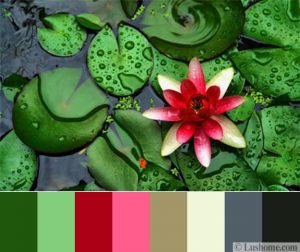 Complementary and Sophisticated Pink Green Color Schemes Inspired by ...