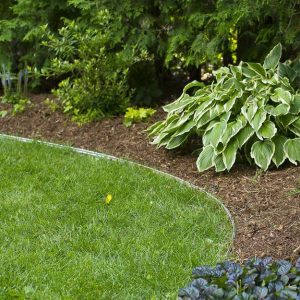 Elegant Metal Edging Offering Modern Solutions for Low Maintenance Yard ...