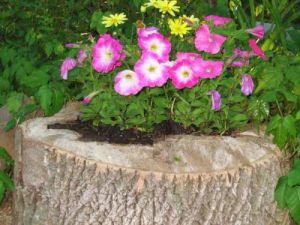 How to Decorate Tree Stumps Creating Bright Play Areas for Kids and Adults