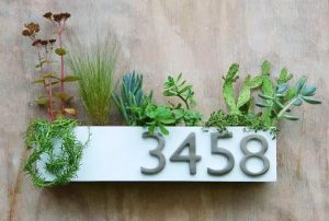 How to Beautify House Number Signs with Plants and Outdoor Lights