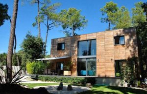 Modern Houses Surrounded by Trees, Architectural Appeal and Health ...