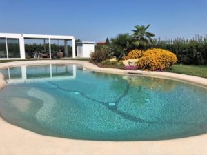 Beach Style Pool Designs Creating a Lake Effect in Modern Yards