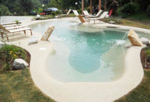Beach Style Pool Designs Creating a Lake Effect in Modern Yards