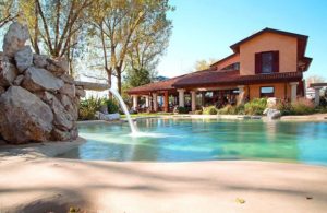 Beach Style Pool Designs Creating a Lake Effect in Modern Yards