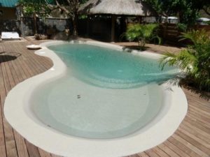 Beach Style Pool Designs Creating a Lake Effect in Modern Yards