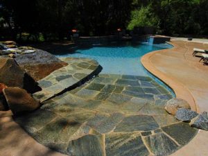 Beach Style Pool Designs Creating a Lake Effect in Modern Yards
