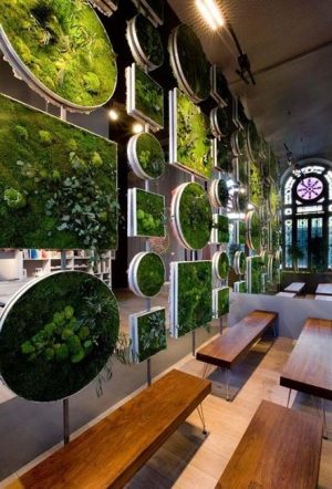 How to Combine Indoor Plants and Create Spectacular Green Wall Designs