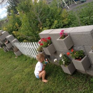 DIY Concrete Planters, Ideas for Outdoor Home Decorating with Flowers