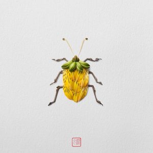 Artful Flower Arrangements Creating Colorful Insects