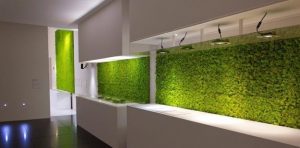 Benefits of Accent Wall Design with Moss, Stunning Green Ideas for ...
