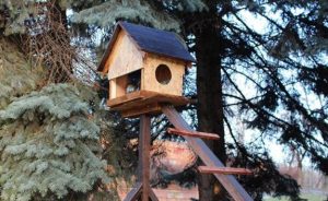 DIY Yard Decorations, Squirrel House Designs to Build and Feed Animals ...