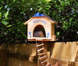 DIY Yard Decorations, Squirrel House Designs to Build and Feed Animals ...