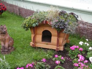 Pet Houses Decorated with Plants Connect Modern Design with Nature