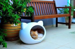 Pet Houses Decorated with Plants Connect Modern Design with Nature