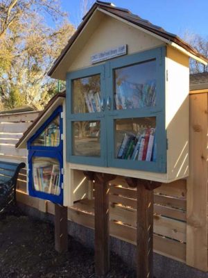Cute Little Free Library Design Ideas, Recycling for Gifts and Yard ...