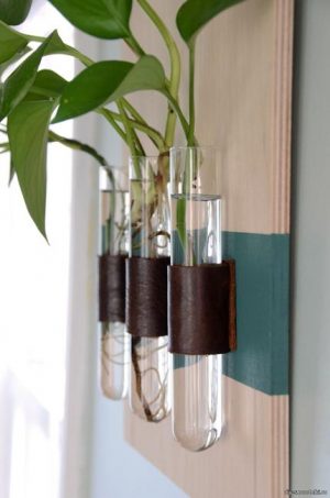 Original Home Decorations and Eco Gifts, Test Tube Vases with Green ...