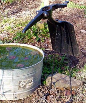 Yard Landscaping, 12 Things to Do to Prepare Your Backyard for Summer