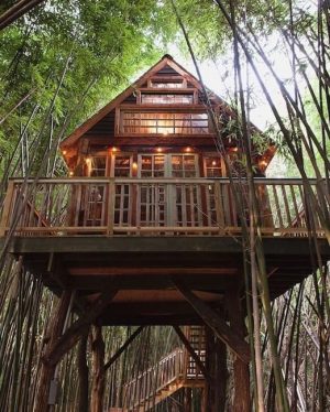 Charming Treehouses, Romantic Homes Grown on Trees