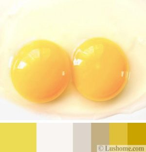 Bright Yellow and White Decorating Ideas, Sunny Color Combinations for ...