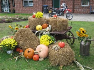 Spectacular Fall Decorations and Yard Installations Created with ...