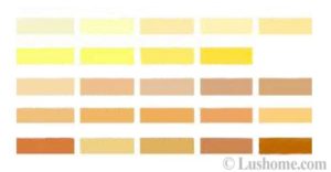 Warm Yellow and Beige Bedroom Colors, Modern Ideas in Color Design