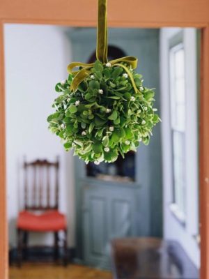 Mistletoe, Christmas Crafts and Romantic Winter Decorating Ideas