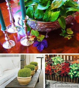 Beautiful Floral Arrangements, 25 Miniature Garden Ideas for Your Table ...
