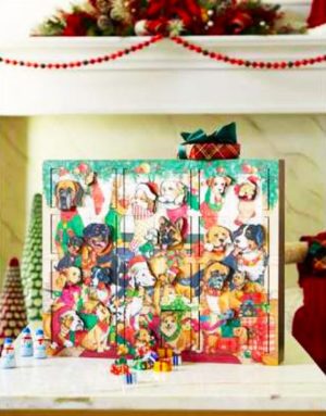 Pet Advent Calendar, Fun Christmas Ideas