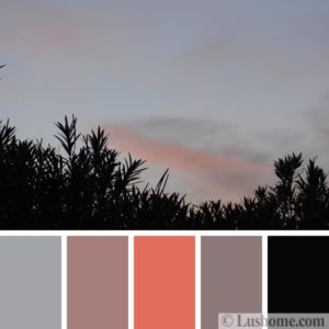 Pink Color Schemes, Inspirations to Brighten Your Interior Design and Decor