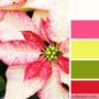 Christmas Colors, 50 Winter Holiday Decorating Color Schemes