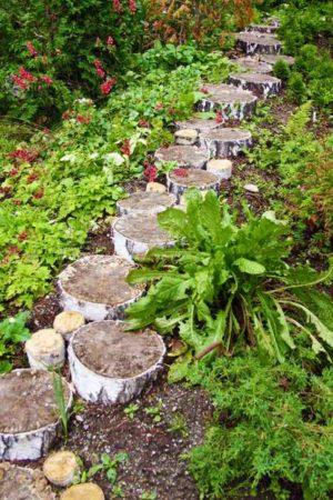Wood Slices in Modern Yard Landscaping, Ideas for Garden Path Design