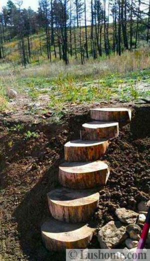 Wood Slices in Modern Yard Landscaping, Ideas for Garden Path Design