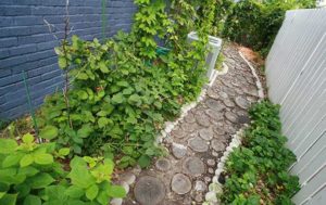 Wood Slices in Modern Yard Landscaping, Ideas for Garden Path Design