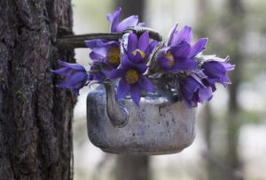 Recycling Teapots for DIY Garden Decorations, 20 Green Ideas to Create ...