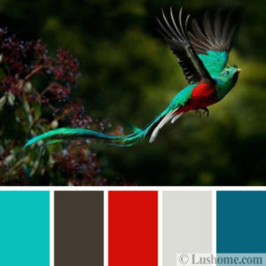 Modern Color Trends, 50 Invigorating Color Schemes Inspired by Birds