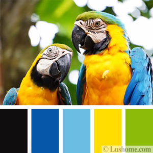 Modern Color Trends, 50 Invigorating Color Schemes Inspired by Birds