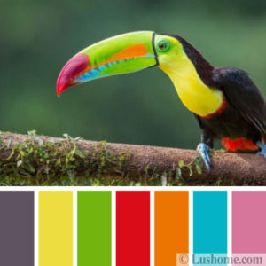 Modern Color Trends, 50 Invigorating Color Schemes Inspired by Birds