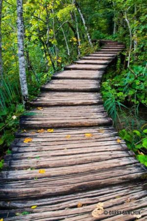 50 Curvy Boardwalks, Natural Wood Garden Path Ideas for Good Feng Shui