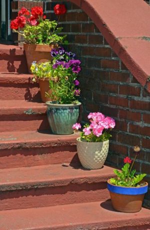 Front Door Steps, 30 Ideas for Decorating with Flowers