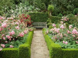 50 Beautiful Yard Landscaping Ideas and Small Garden Designs