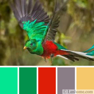 Modern Color Trends, 50 Invigorating Color Schemes Inspired by Birds