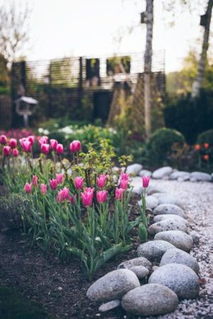55 Natural Landscaping Ideas, Going Green to Save Money and Improve Health