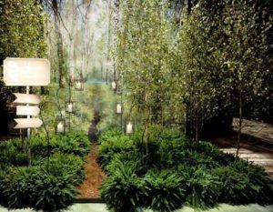 55 Natural Landscaping Ideas, Going Green to Save Money and Improve Health